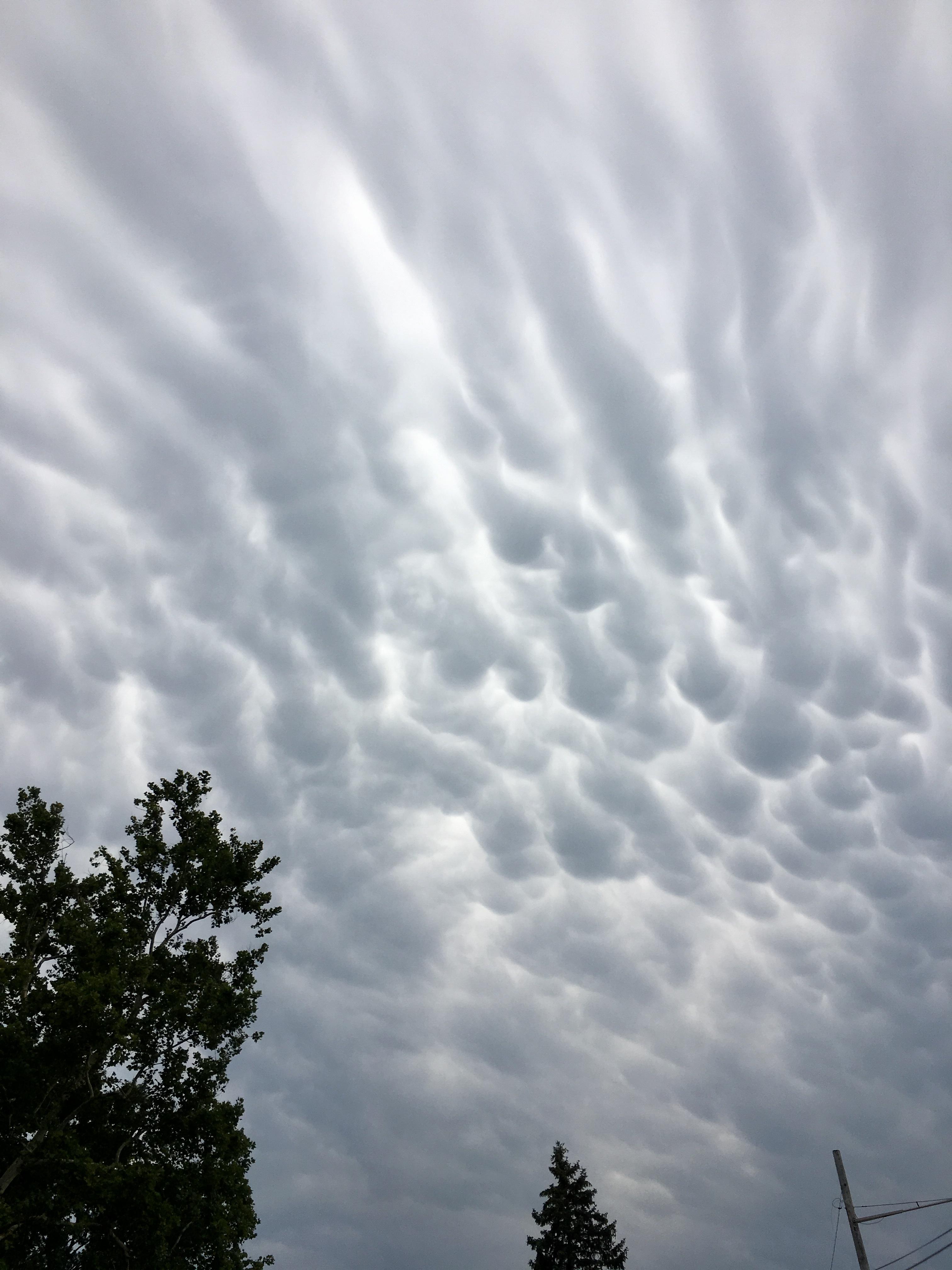 Quilted Southern Winds « Mare Martell